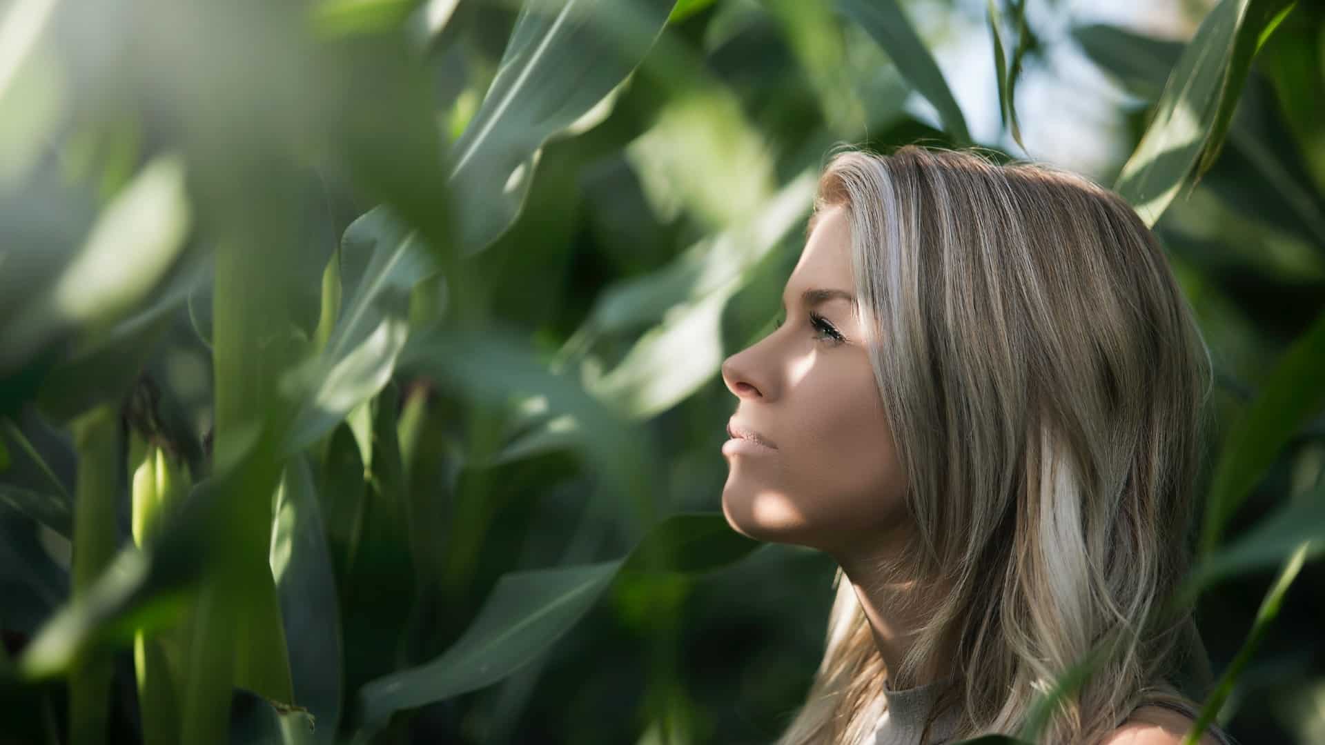 Ambassador Program - Hyper Wellbeing